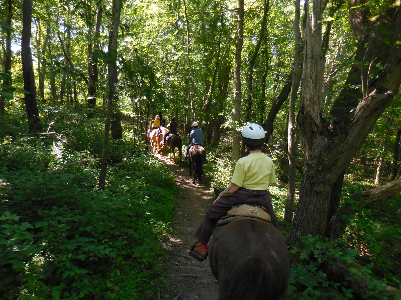 Agriculture History Farm Park – Trail Riders of Today (TROT)